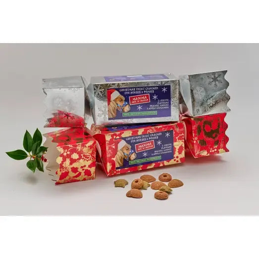 Maxima Mix 'n' Munch Christmas Cracker – The Old Barn Shop
