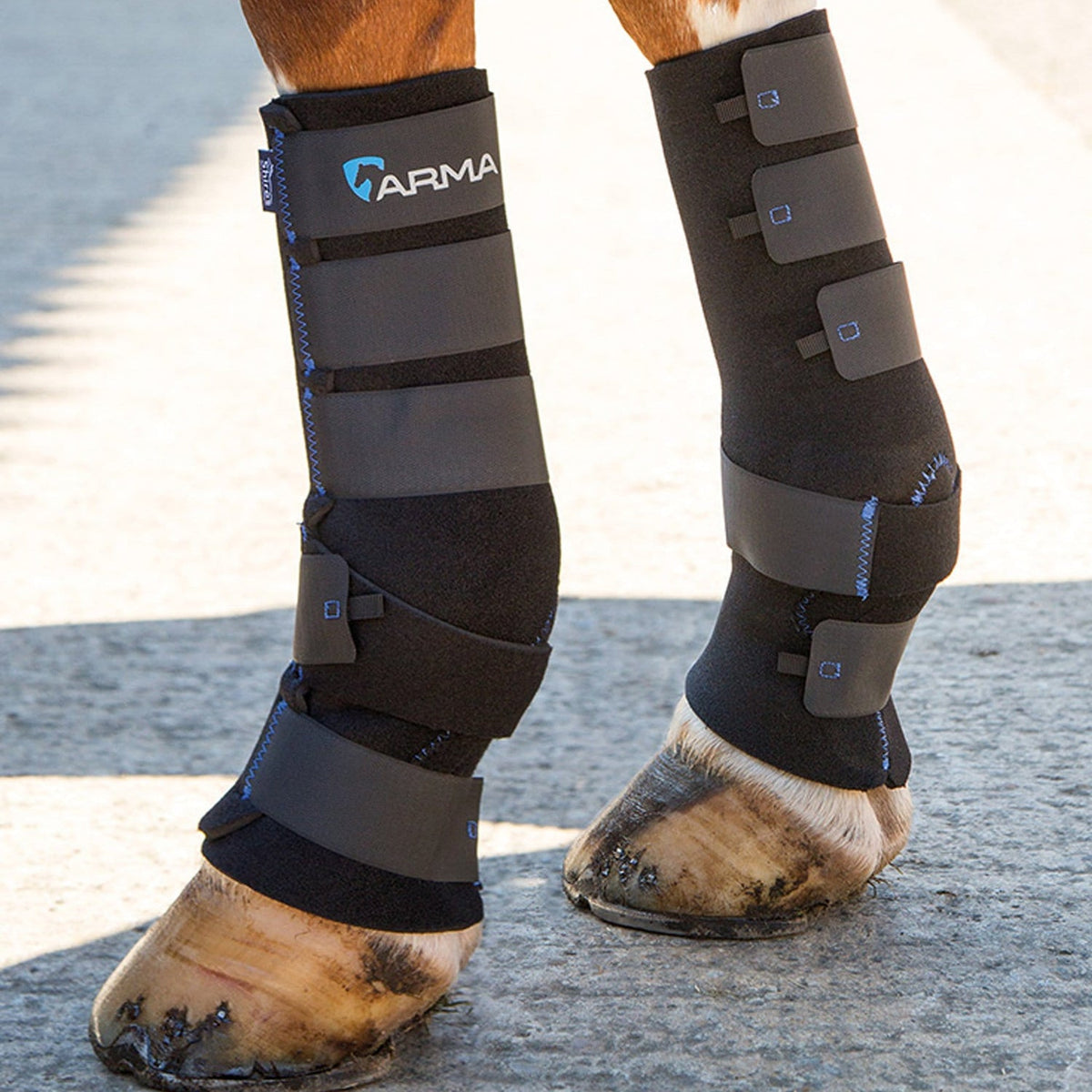 Shires ARMA Deluxe Mud Socks – The Old Barn Shop